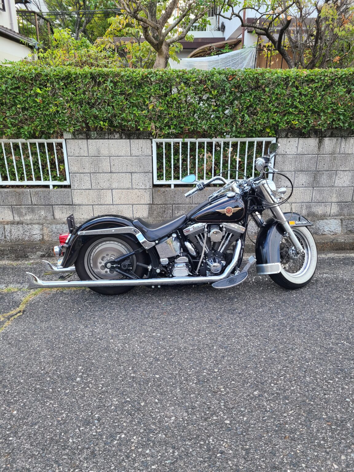 98年式 FLSTC（FXSTCをカスタム） - HARLEY IN SETOUCHI